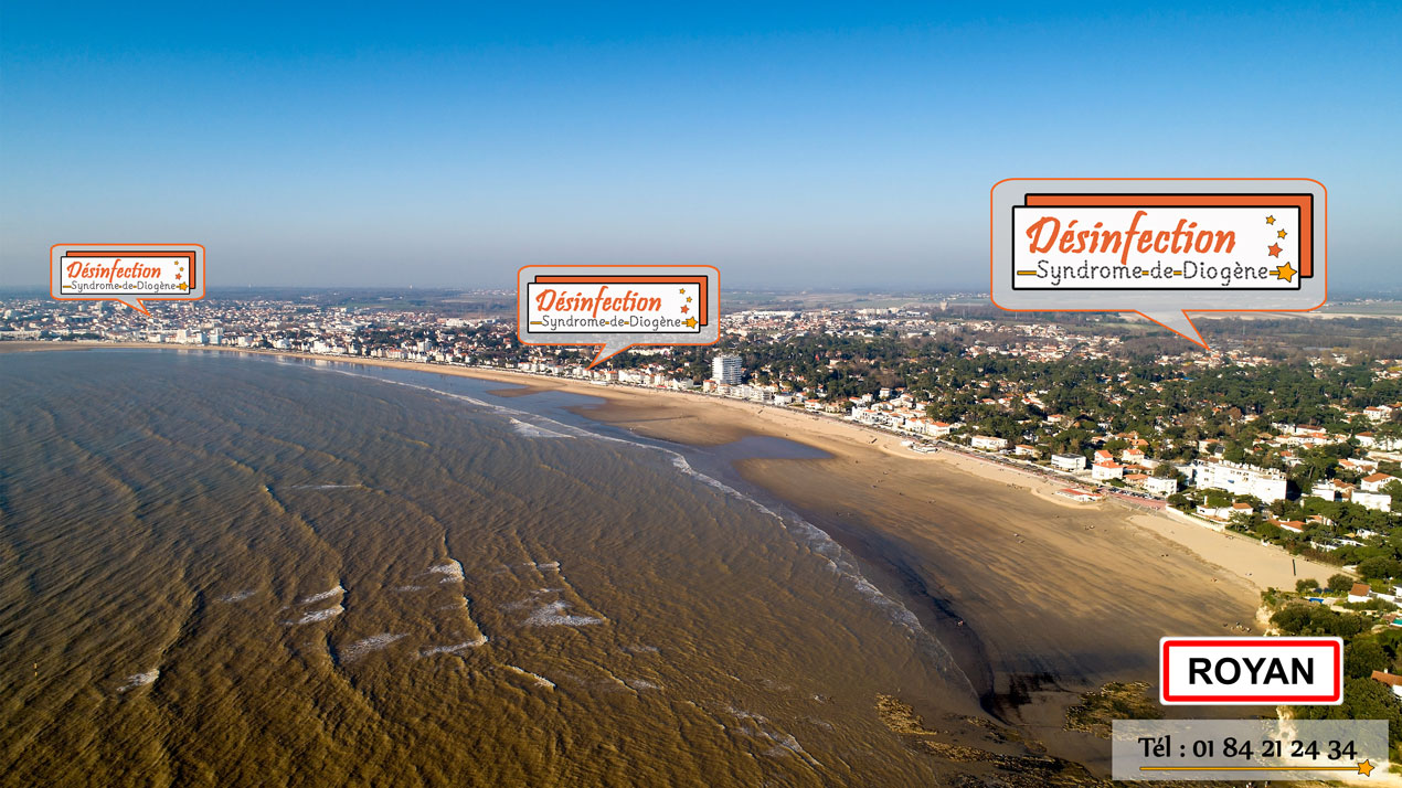 Royan – artisan de débarras et désinfection logements contexte syndrome ...